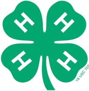 Club Officers | 4-H Youth Development Program | Washington State University