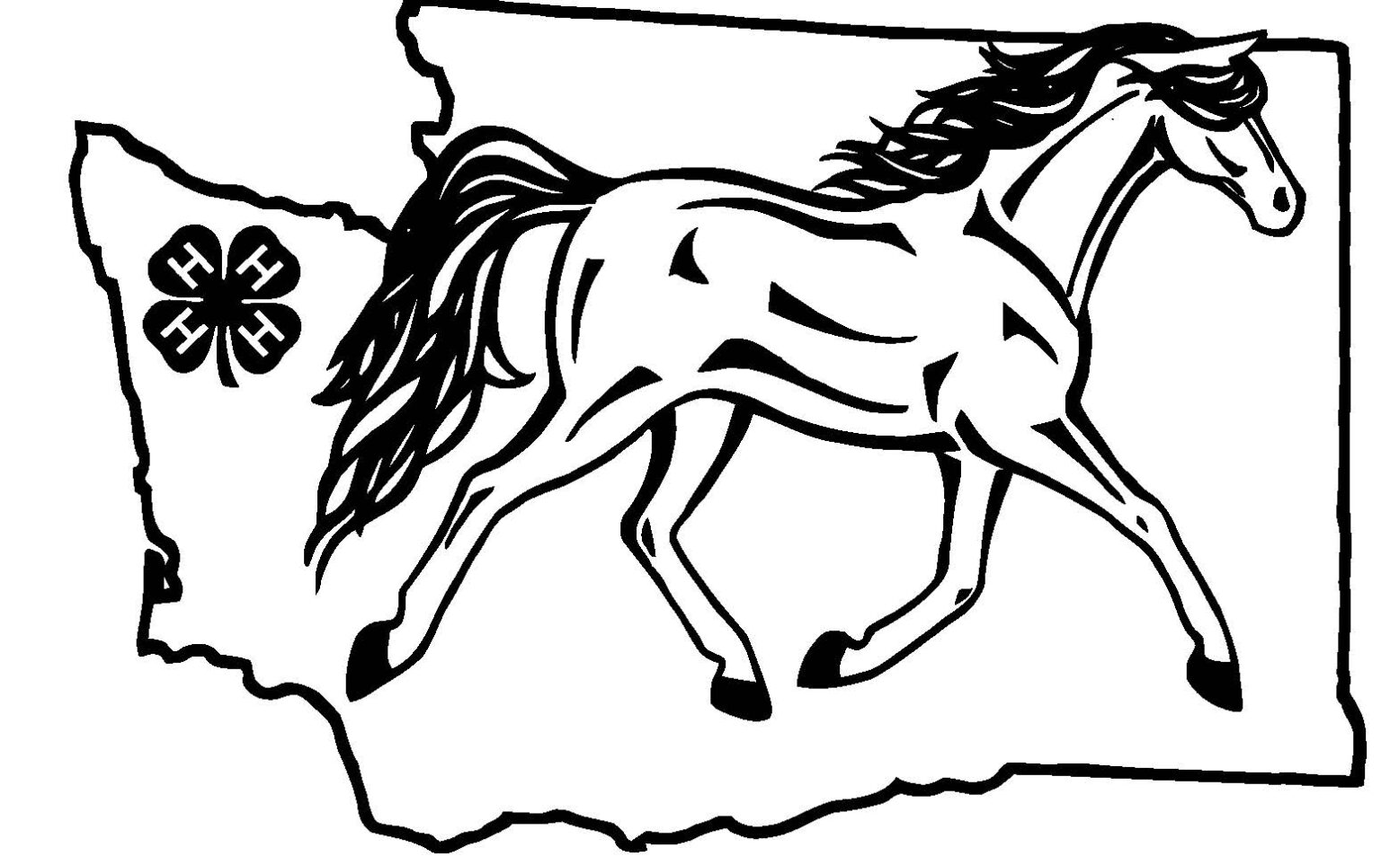 WSU 4-H Equine Program Judge List | 4-H Youth Development Program ...