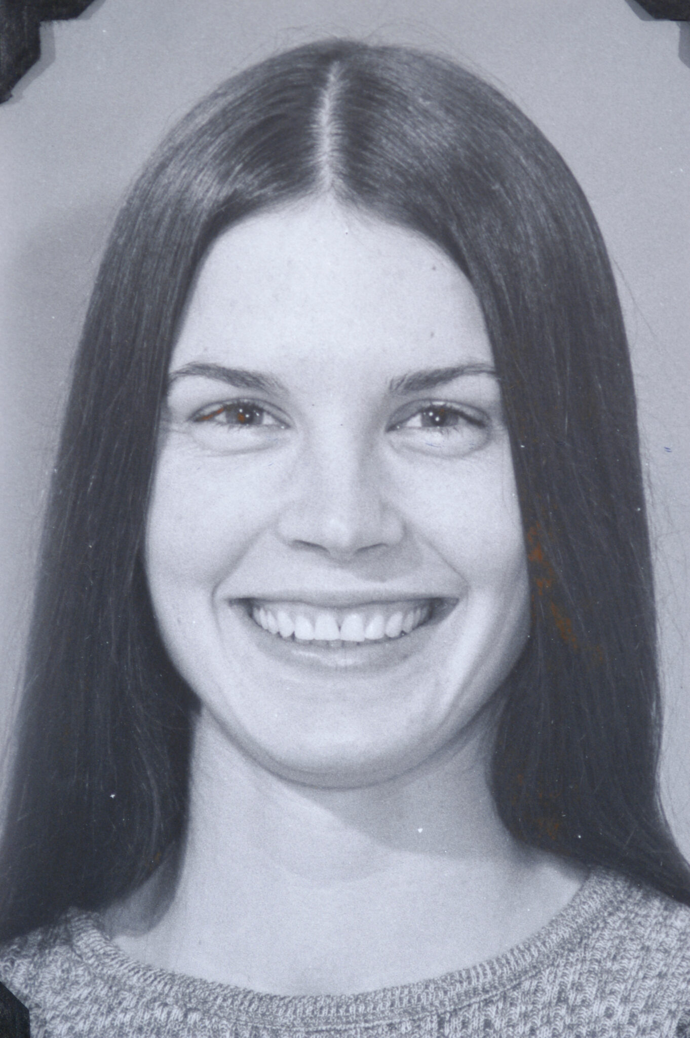 The woman behind WSU’s veterinary blood bank | WSU Insider | Washington ...