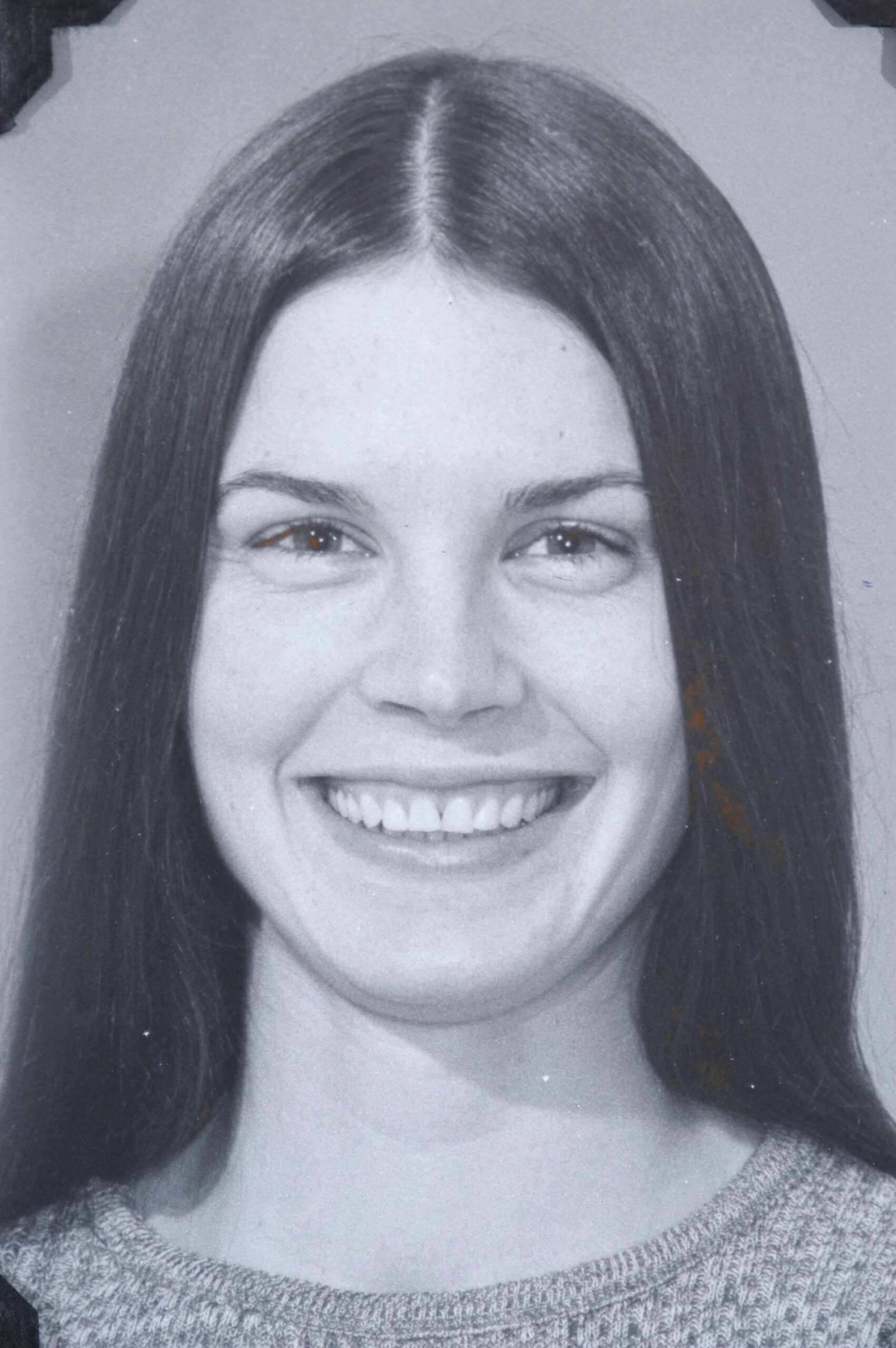 The woman behind WSU’s veterinary blood bank | WSU Insider | Washington ...