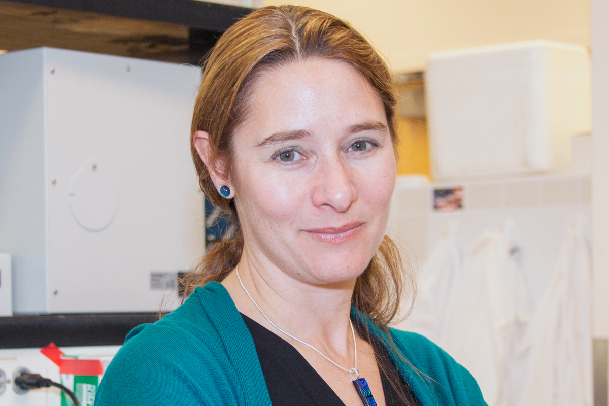 Salmon face double whammy from toxic stormwater | WSU Insider ...