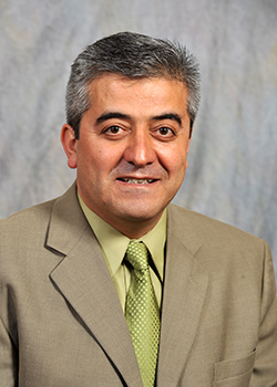 Seven WSU faculty recognized as Highly Cited Researchers | WSU Insider ...