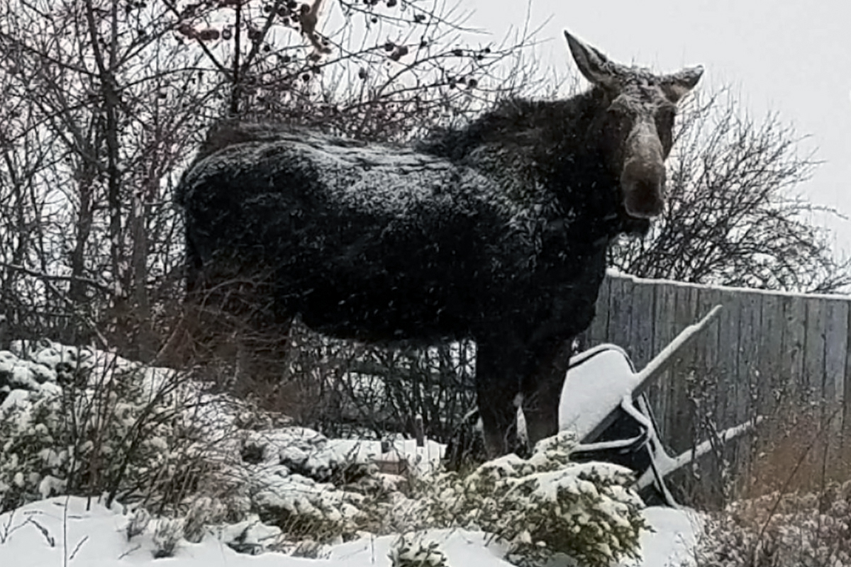 Weathercatch: February fools region with weather in reverse | WSU ...