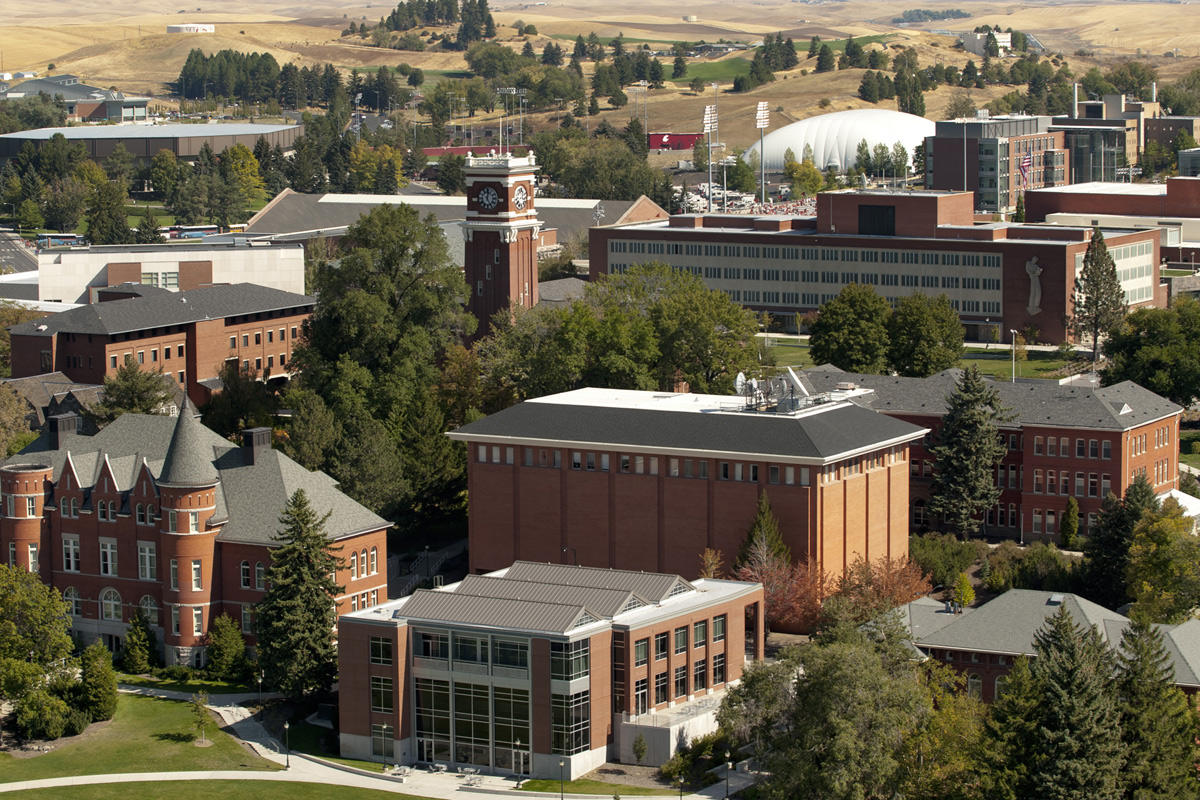 WSU named 2019 Tree Campus USA | WSU Insider | Washington State University