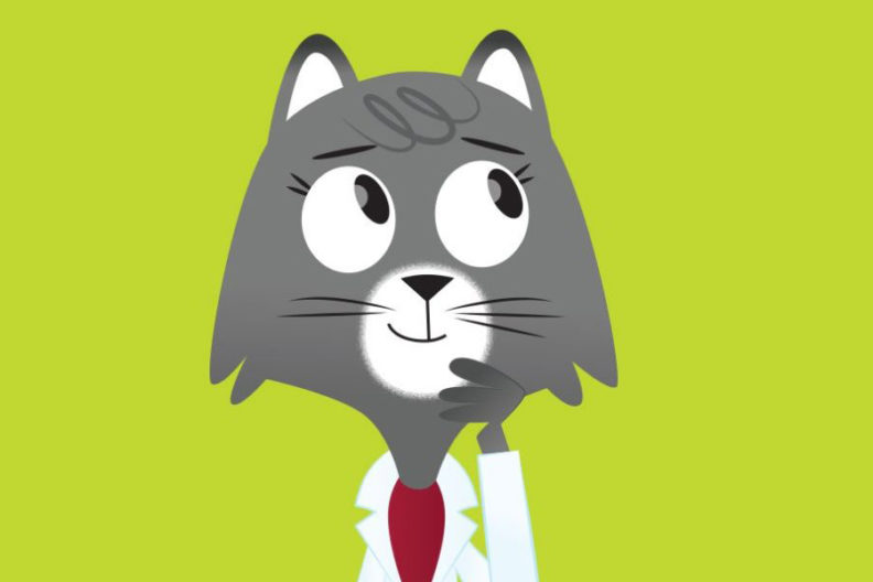 Dr. Universe: Why do lizards lose their tails? | WSU Insider ...