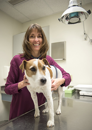 2018 Woman of Distinction: Saving animal lives every day | WSU Insider ...
