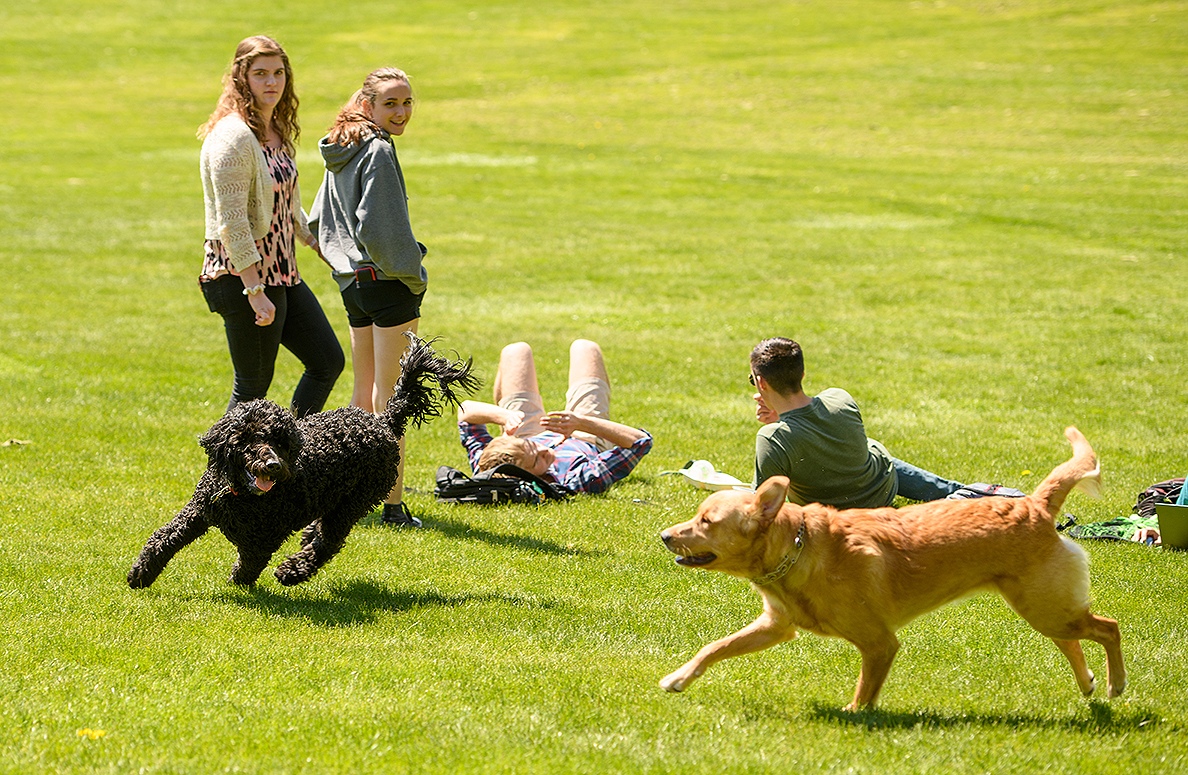 Weathercatch: Spring heat spell, then a cool-down, now warming again ...