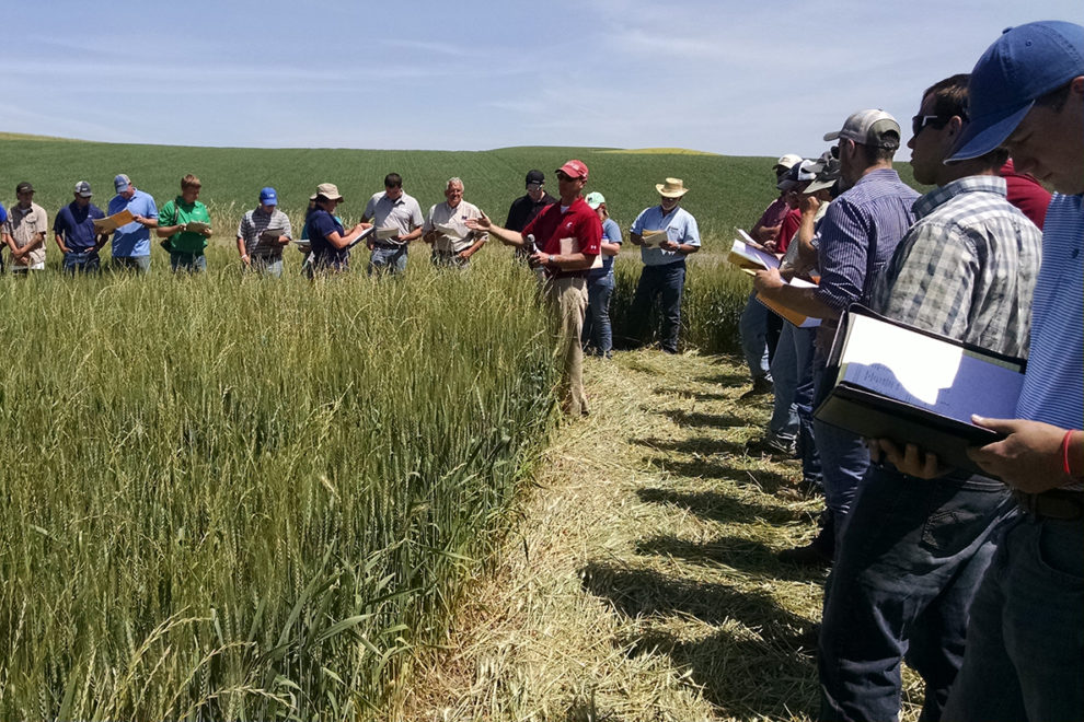 June 13: Learn how to fight farm field invaders at Weed Science Field ...