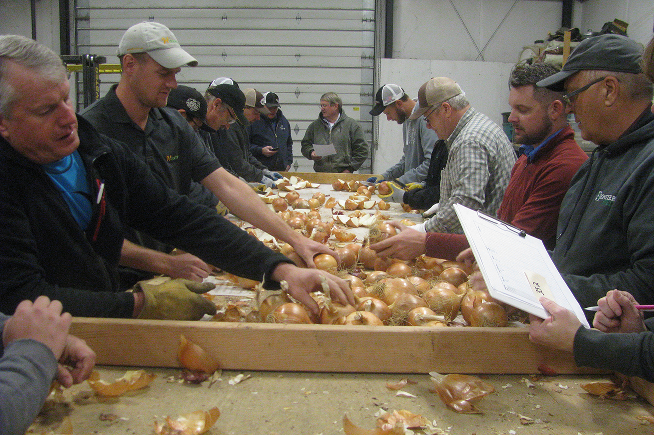 Protecting onions from pests, pathogens, draws USDA attention | WSU ...