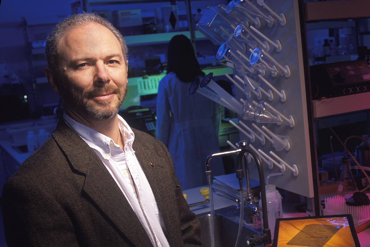 WSU researchers see health effects across generations from popular weed killer | WSU Insider ...