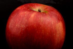 Horticulture students assemble Cosmic Crisp™ apple genome | WSU Insider ...