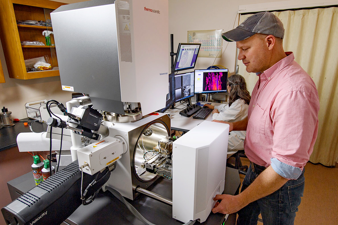 Franceschi Microscopy and Imaging Center acquires new microscope | WSU ...