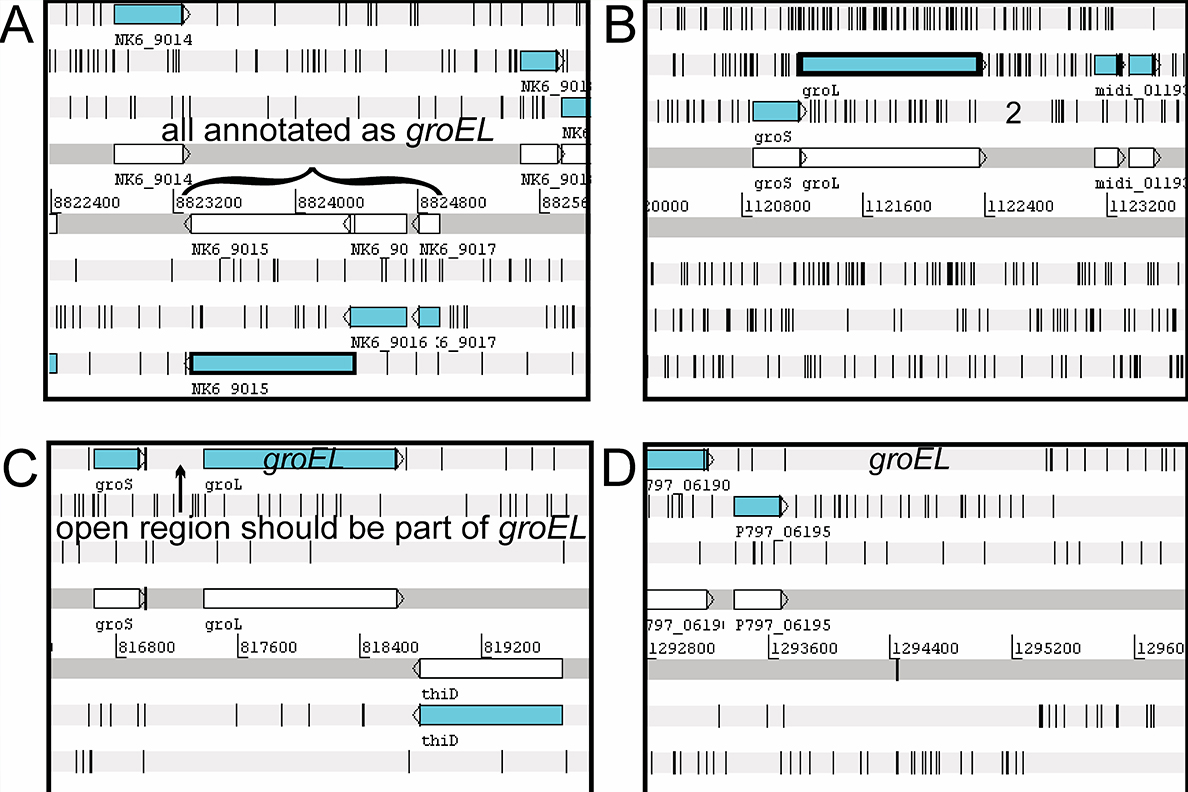 Amid genomic data explosion, scientists find proliferating errors | WSU ...