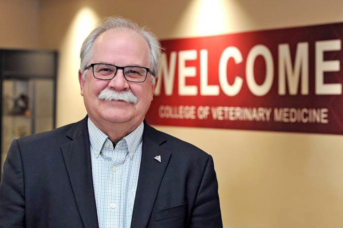 WSU president appoints interim provost | WSU Insider | Washington State ...