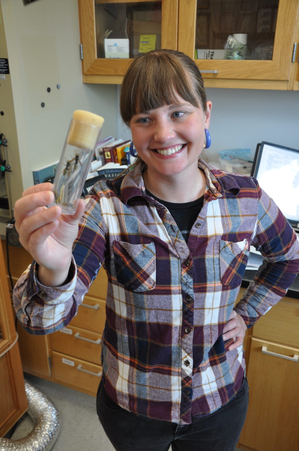 Scientists study how wasps learn for better trap | WSU Insider ...