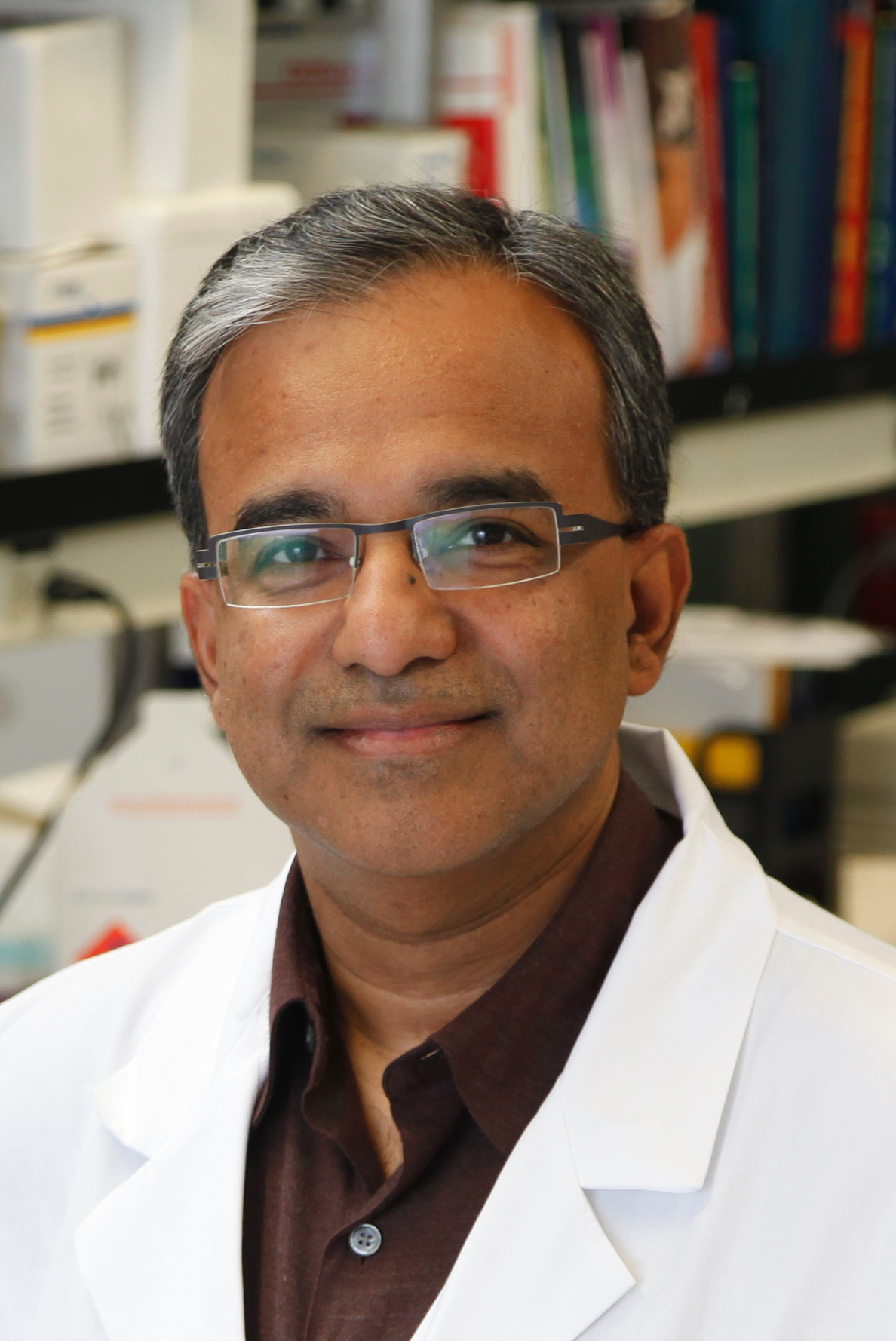 Highly Cited Researchers list honors six WSU faculty | WSU Insider ...
