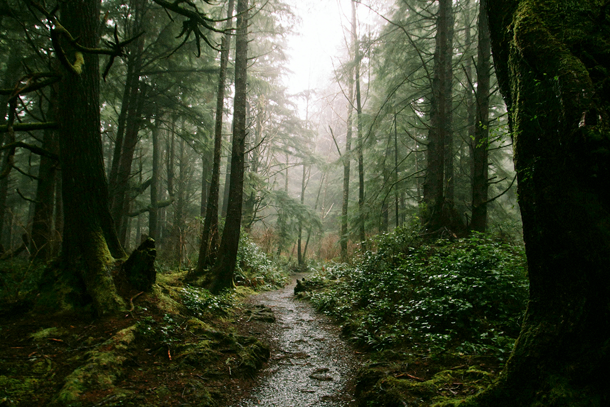 Extension foresters expand stewardship education to save Washington ...