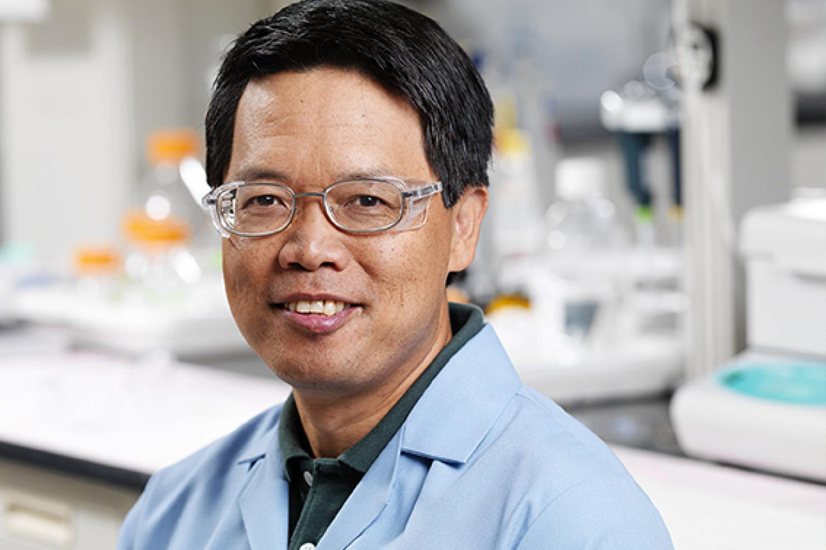 Yuehe Lin named to National Academy of Inventors | WSU Insider ...
