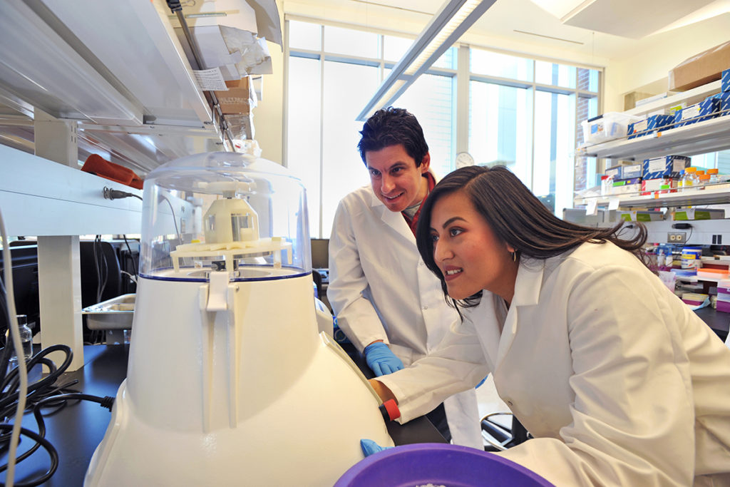 Understanding immunity to improve health | WSU Insider | Washington ...