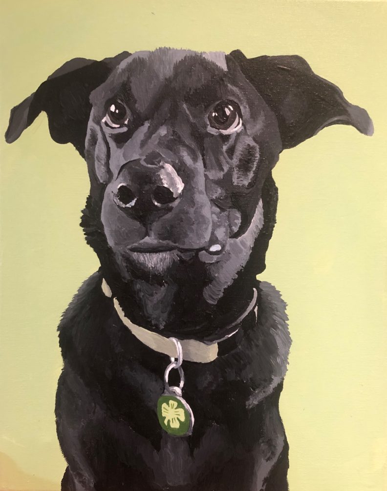 ‘Art in the Library’ artist paints pet portraits for family, friends ...