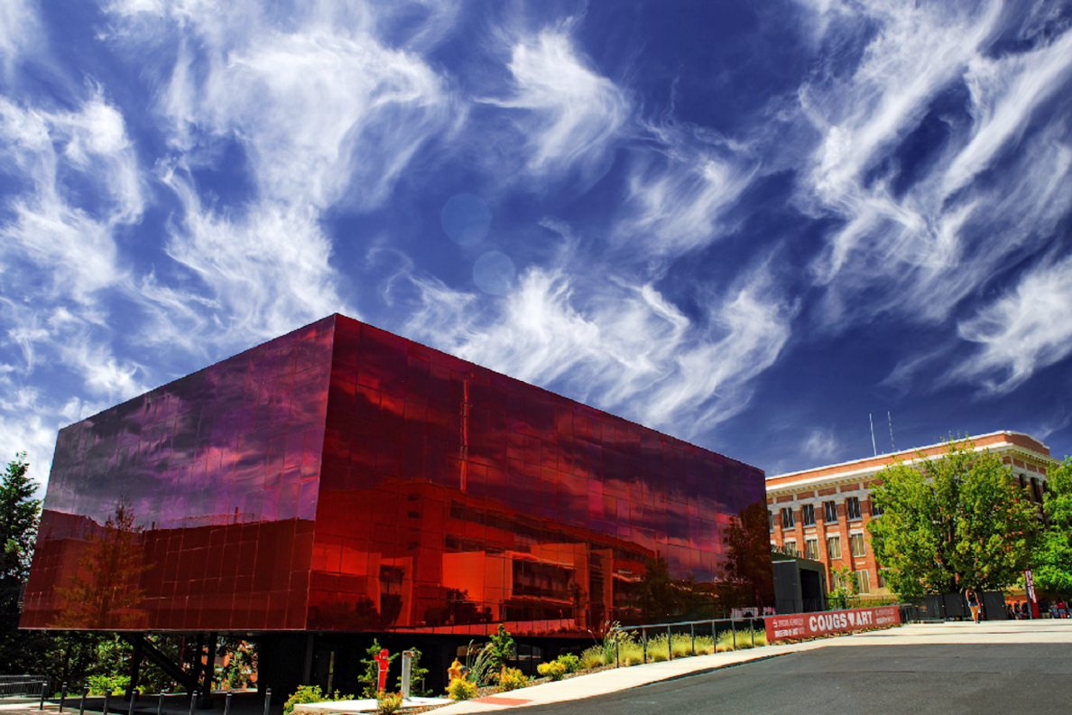 Looking back at 2019 | WSU Insider | Washington State University