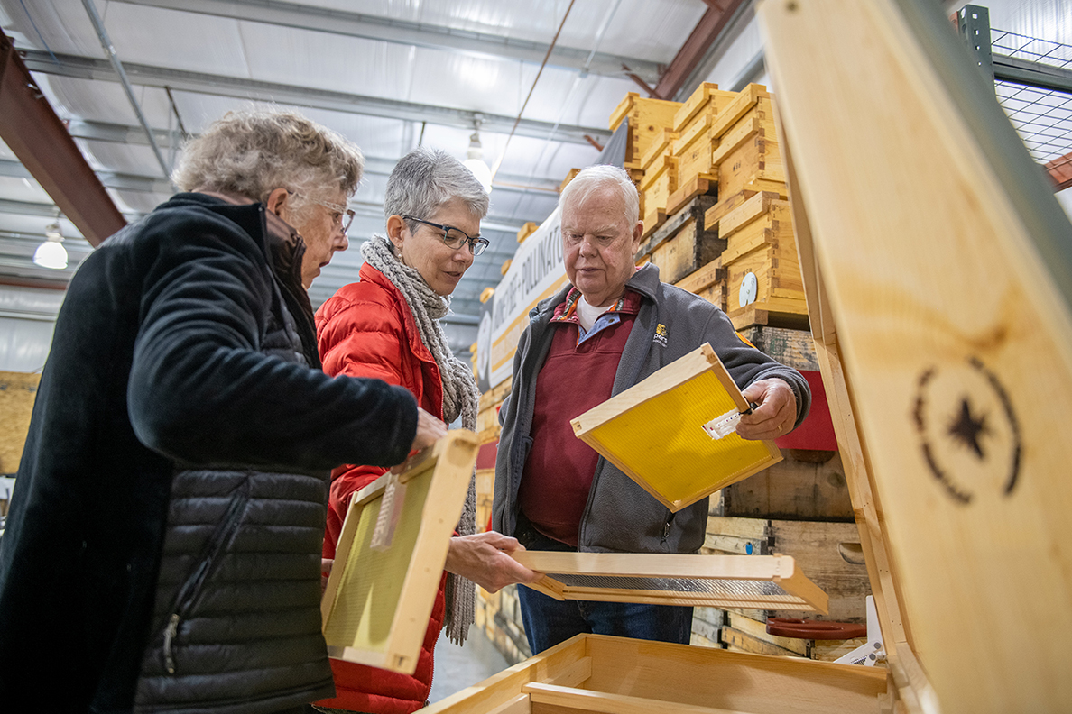 Honey bee and pollinator facility officially opened | WSU Insider ...