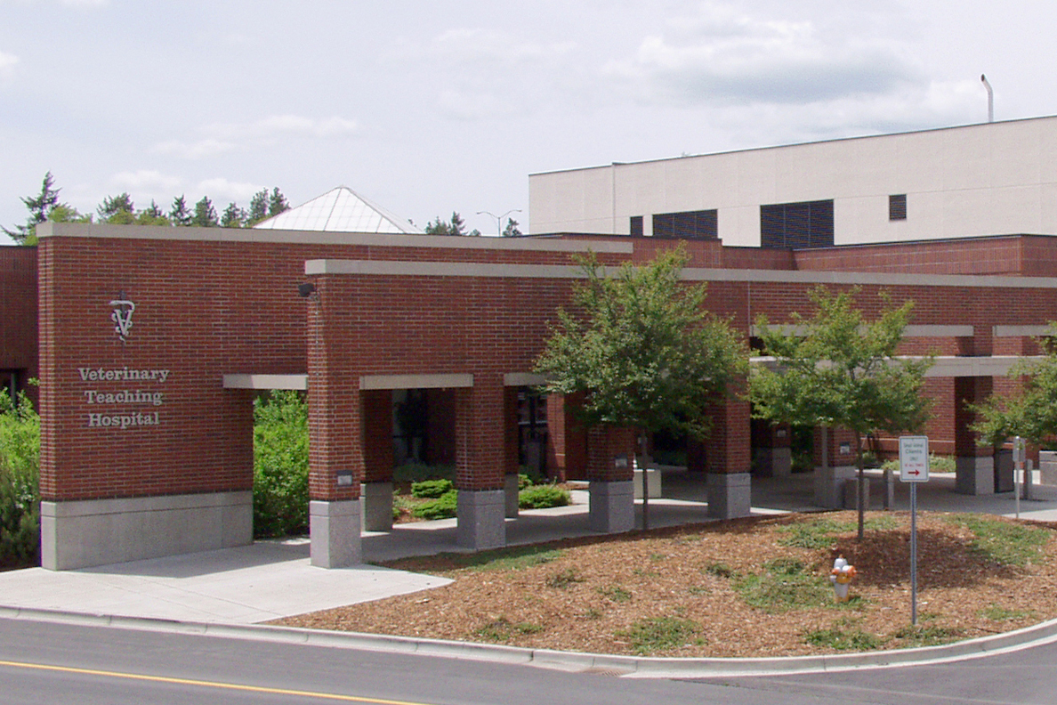 WSU Veterinary College modifies operations for COVID-19 pandemic | WSU ...