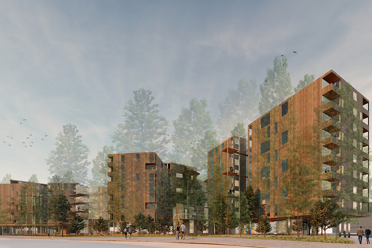 Designing with wood | WSU Insider | Washington State University