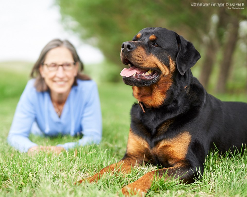 Bond between humans and dogs strengthened by COVID-19 | WSU Insider ...