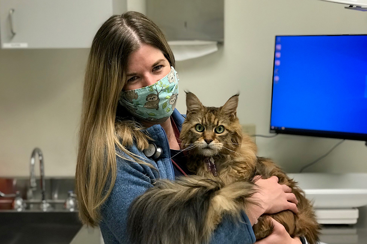 Vets put cat back on track | WSU Insider | Washington State University