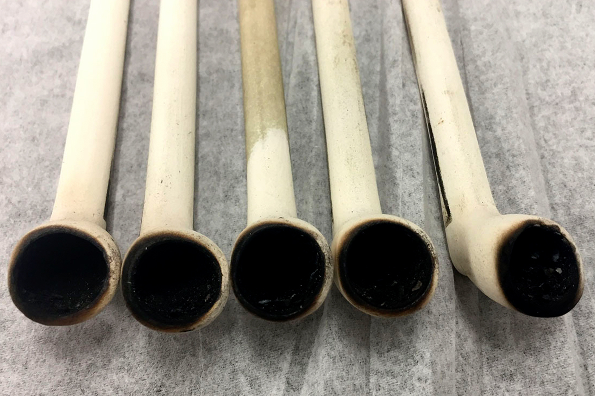 Non-tobacco plant identified in ancient pipe for first time | WSU ...