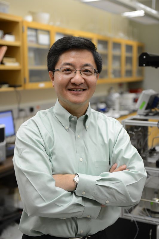 Yong Wang receives national American Chemical Society award | WSU Insider | Washington State ...