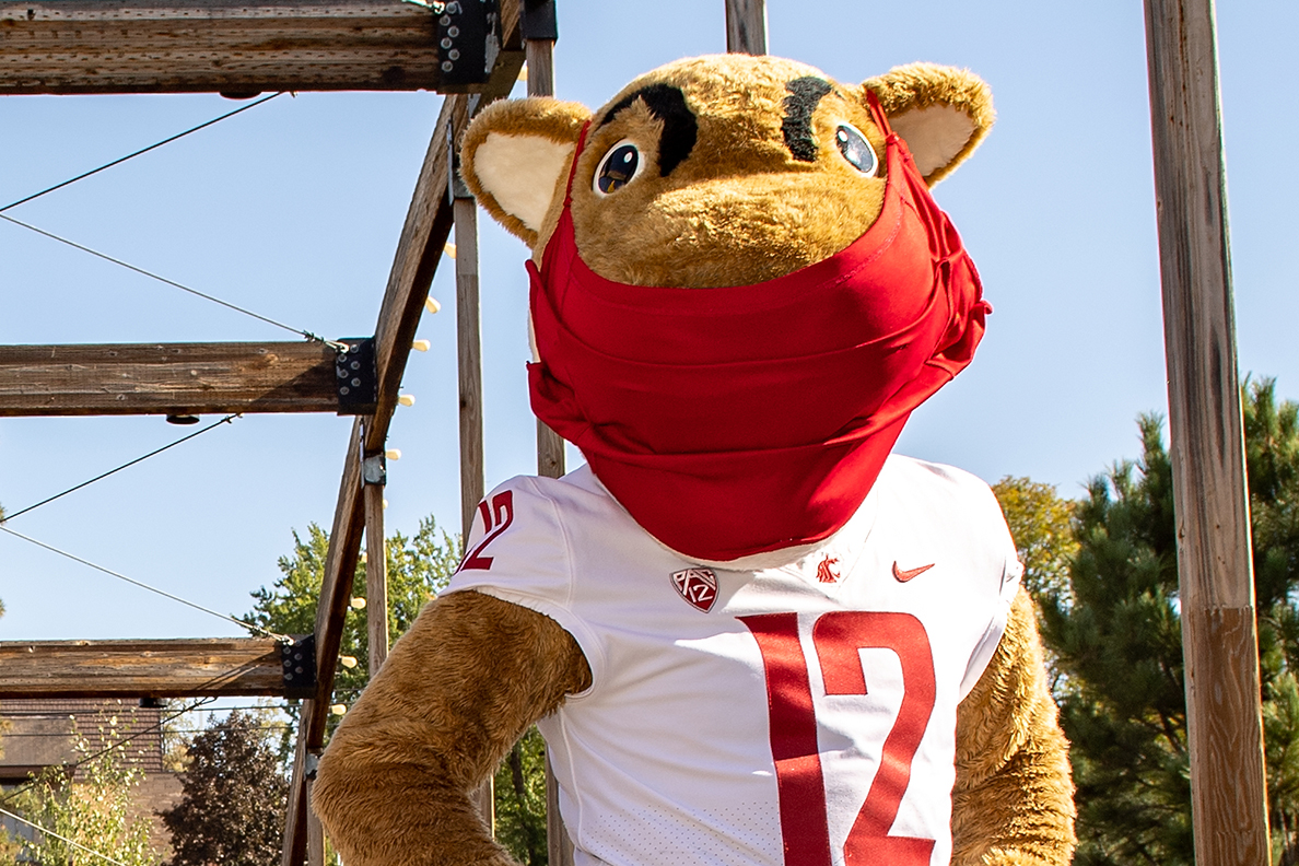 Why are face masks effective? | WSU Insider | Washington State University