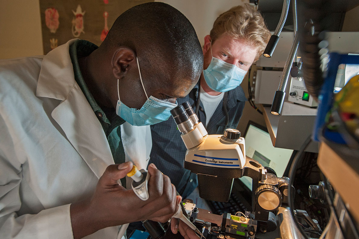 Study reinforces drug’s potential to treat hypertrophic cardiomyopathy | WSU Insider ...