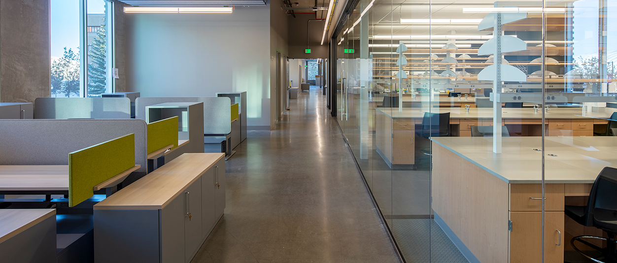 A new home for collaborative agricultural research | WSU Insider ...