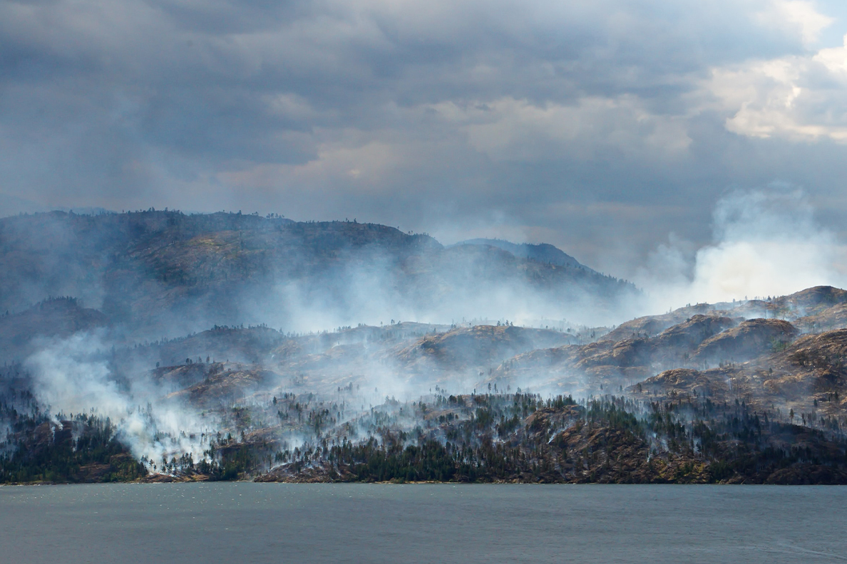 Knowledge of greenhouse gas effect shifts public opinion on global ...