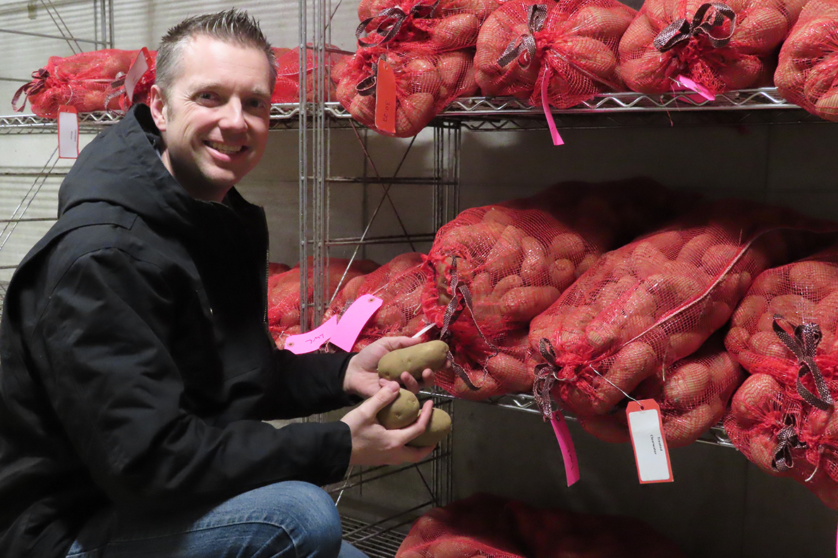 Jake Blauer joins WSU’s potato research group | WSU Insider ...