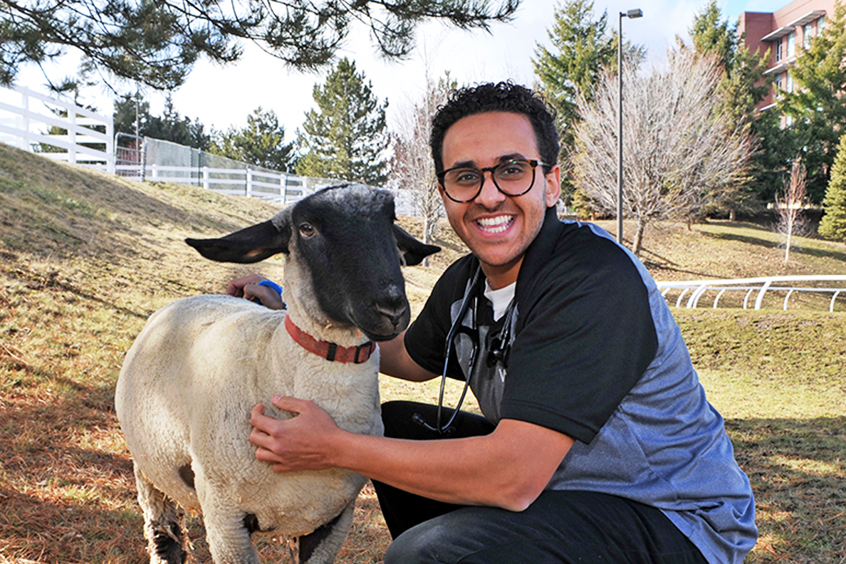 DVM student finally a U.S. citizen | WSU Insider | Washington State ...