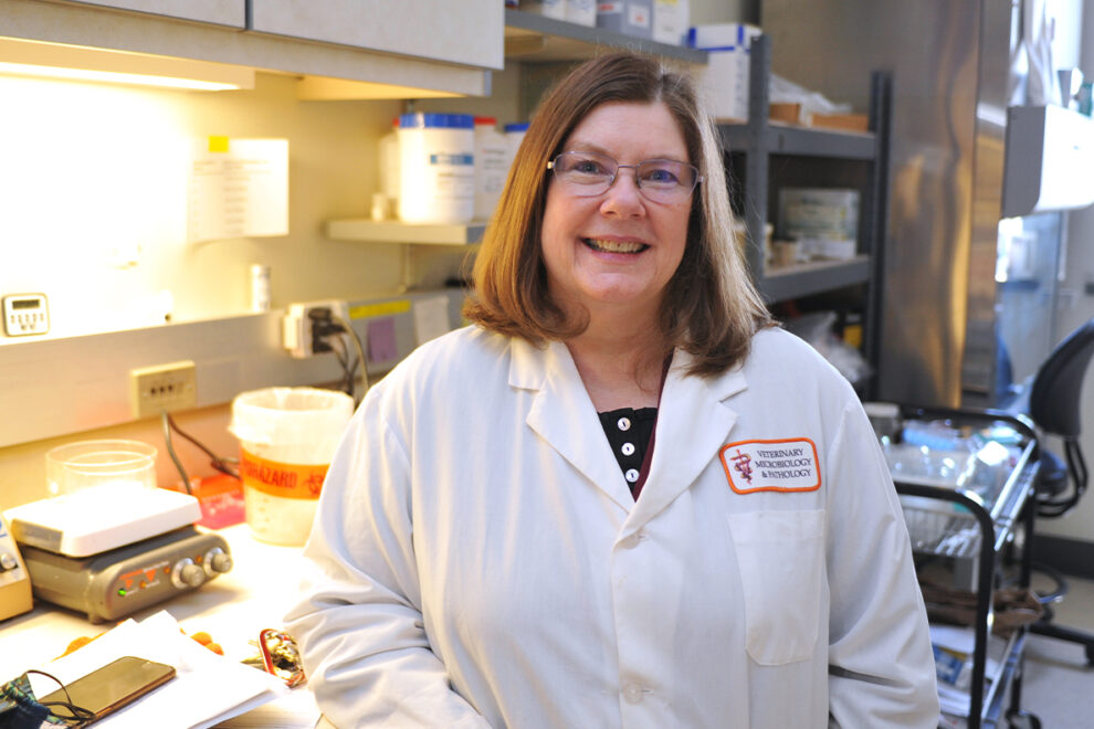 Kelly Brayton to receive distinguished agriculture alumni award | WSU ...