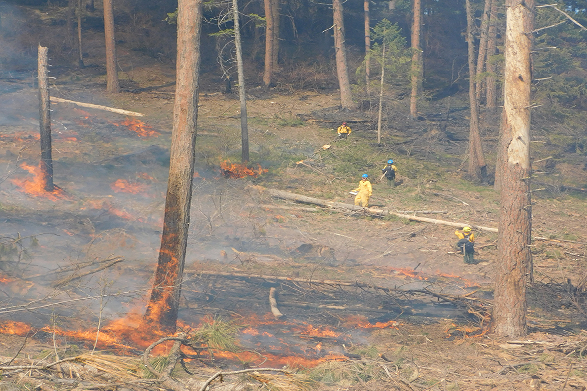 WSU offering new wildland firefighter course | WSU Insider | Washington ...