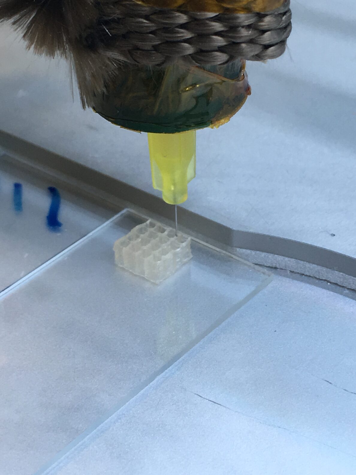 Researchers advance 3D printing to aid tissue replacement | WSU Insider ...