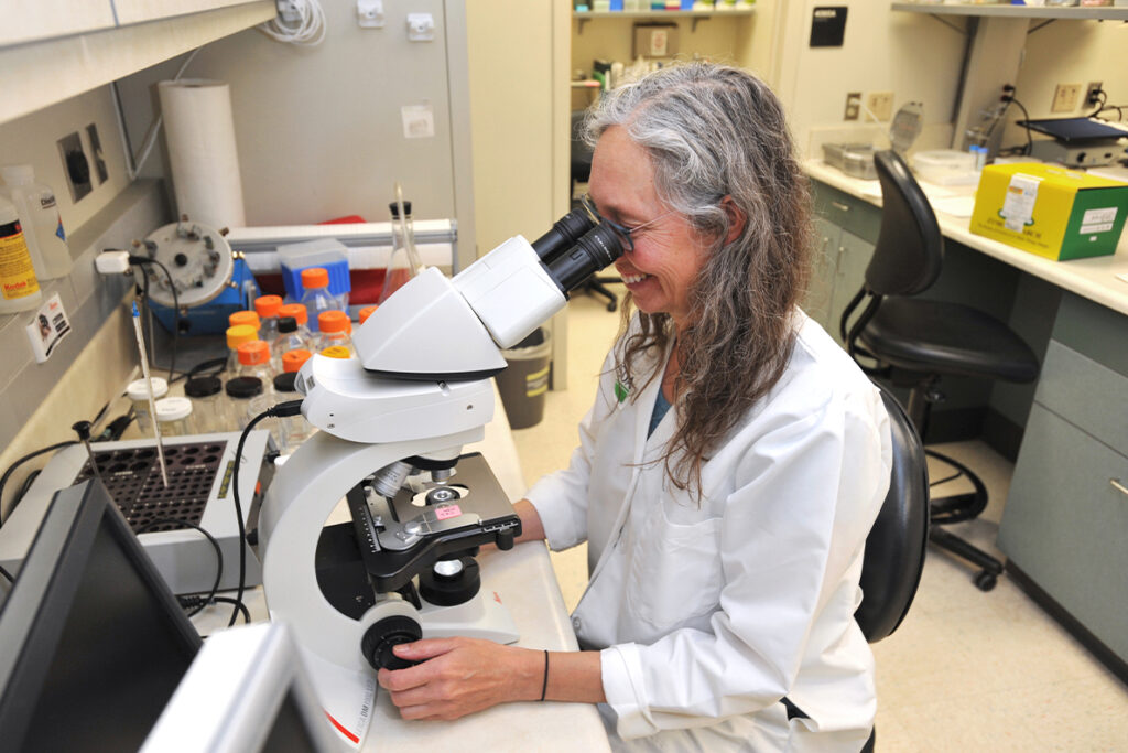 Committed to a deadly parasite | WSU Insider | Washington State University