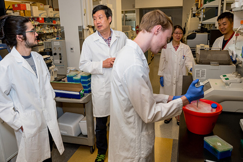 Research identifies potential role of ‘junk DNA’ sequence in aging ...