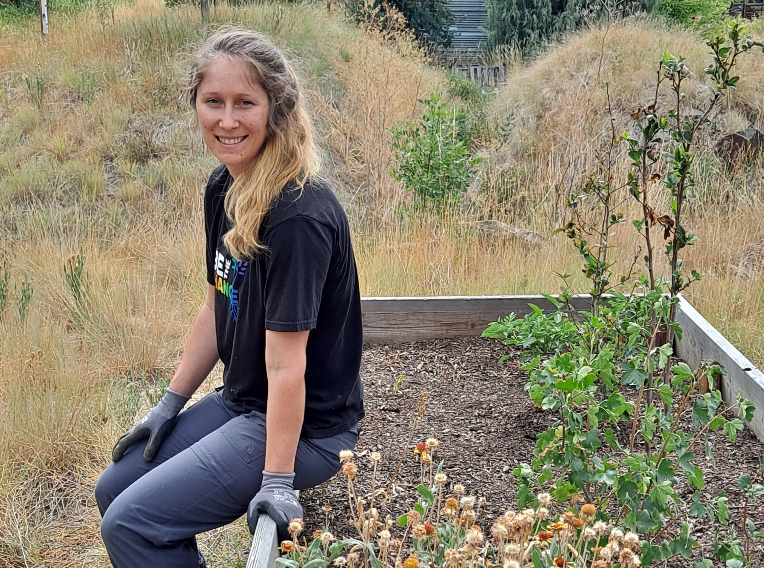 Nature restoration project brings together community, arts, and science ...