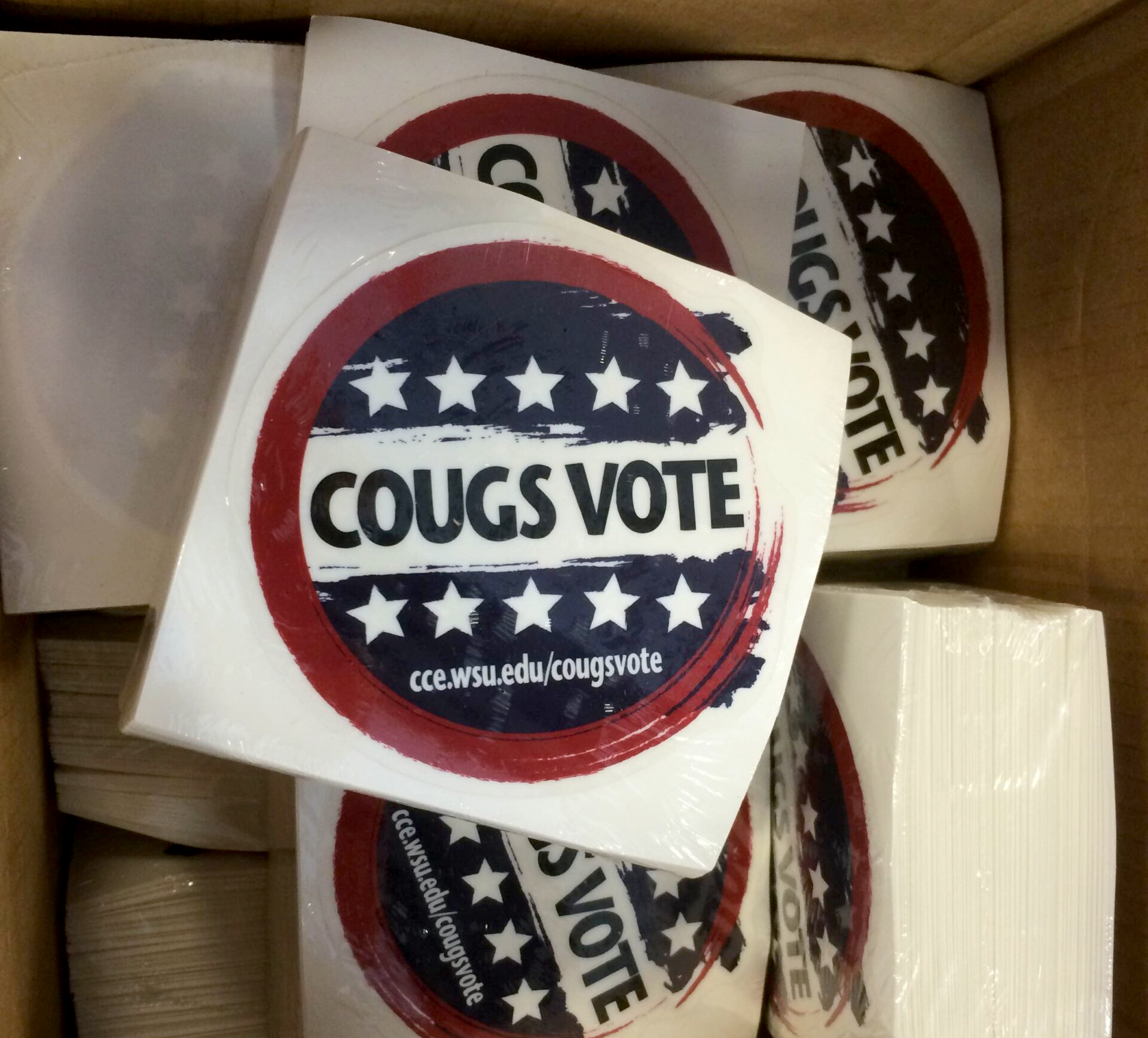 Voting hubs bring democratic engagement to WSU | WSU Insider ...