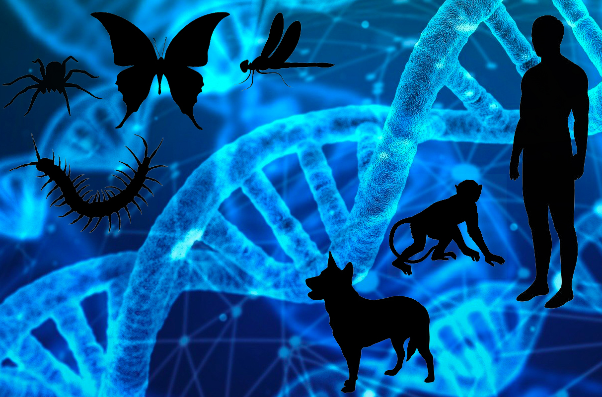 Big gaps in quest to sequence genomes of all animals | WSU Insider ...