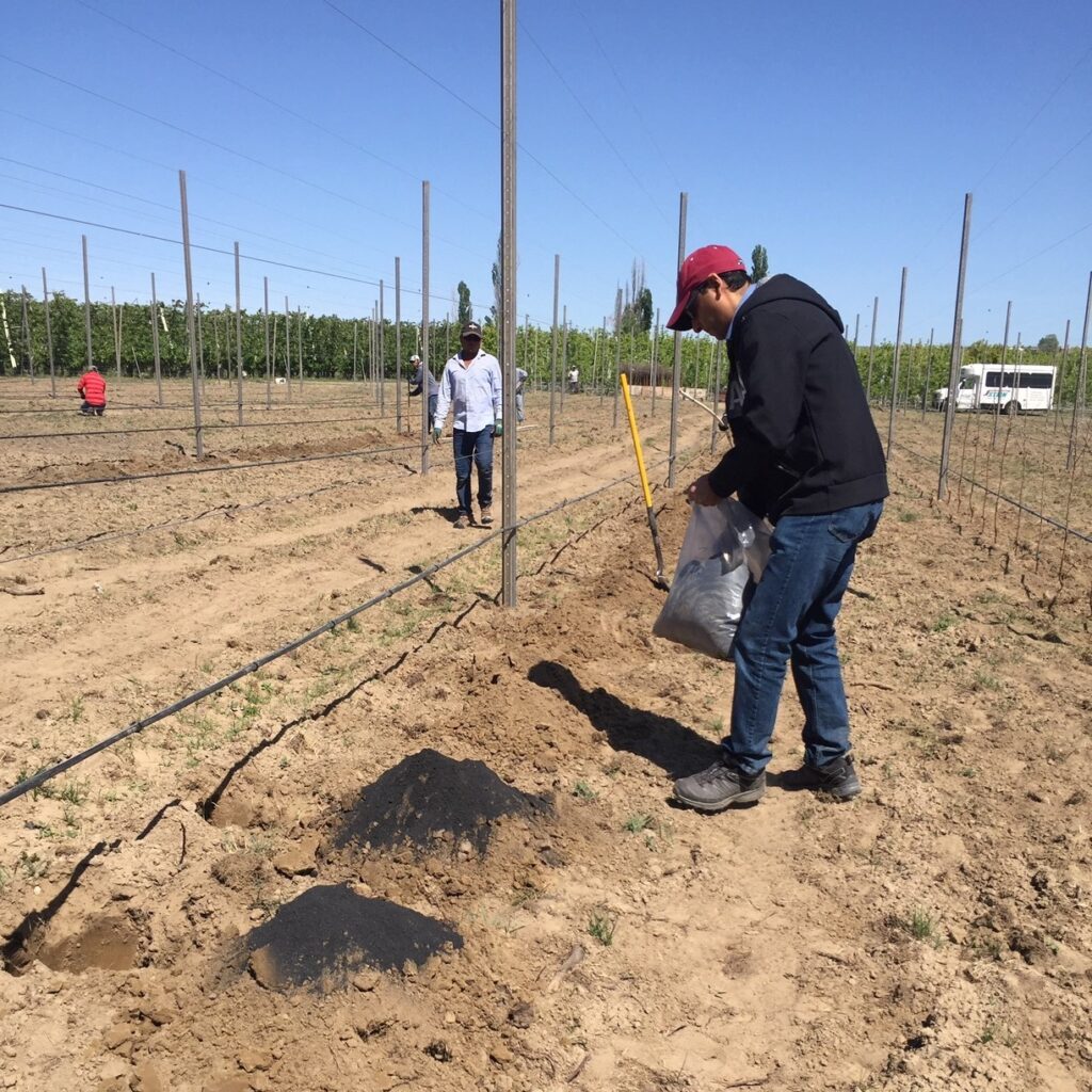 New WSU report charts biochar path | WSU Insider | Washington State ...