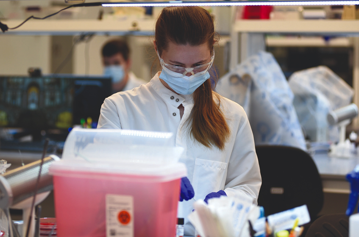 Grants to improve animal disease detection | WSU Insider | Washington ...