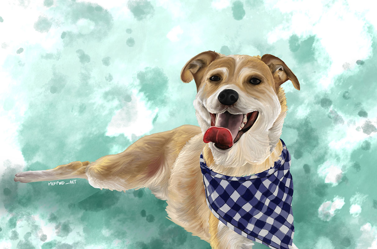 Art in the Library exhibit features digital artwork of third‑year vet ...