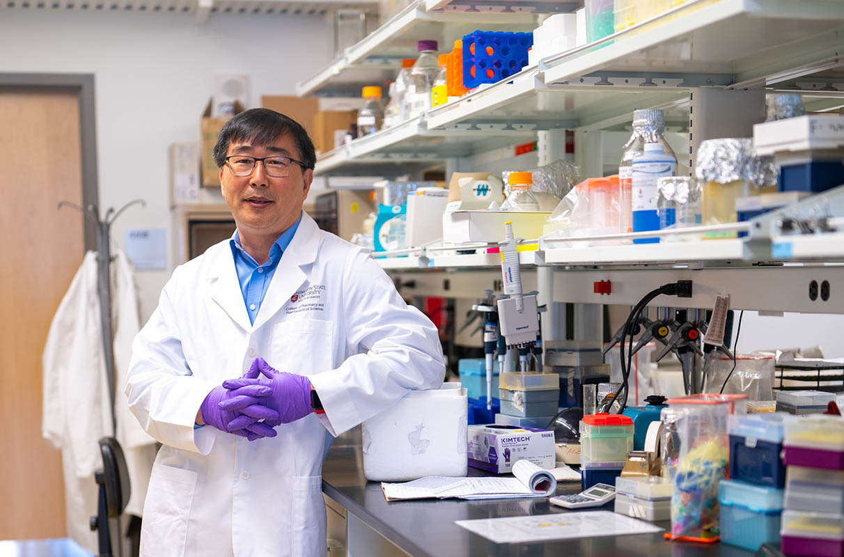 Discovery could lead to better cancer immunotherapy | WSU Insider ...